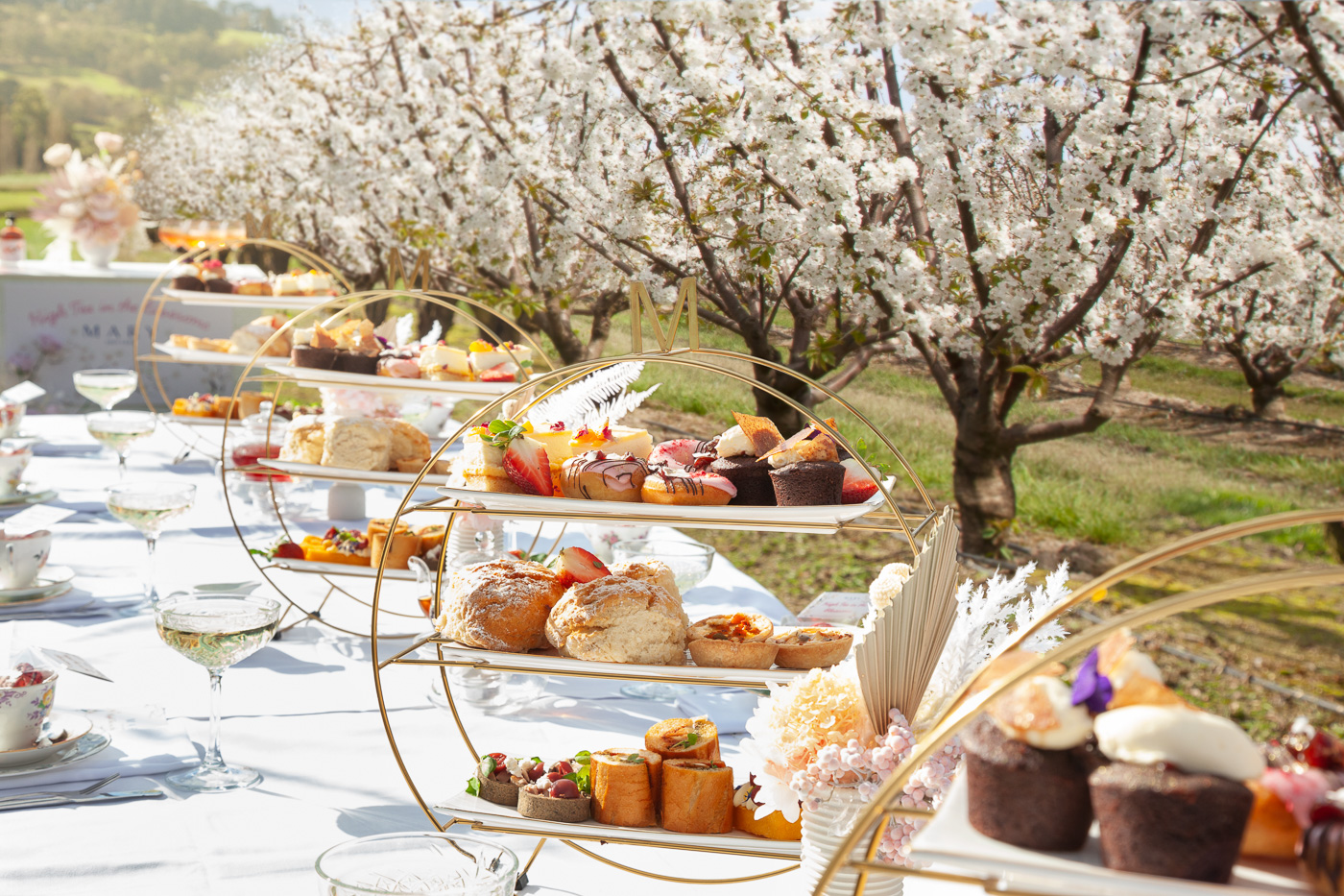 Mary Eats Cake High Tea in Blossom – Cherryhill Orchards